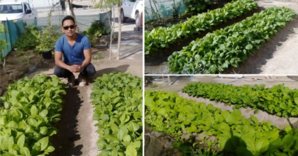 Qatar Archives - The Pinoy OFW