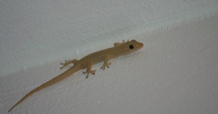 20 Things You Need to Know about Life in Guam - The Pinoy OFW