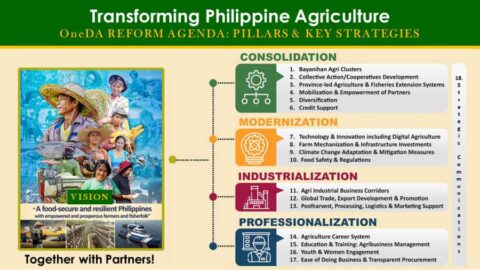 Department of Agriculture (DA): What You Need to Know - The Pinoy OFW