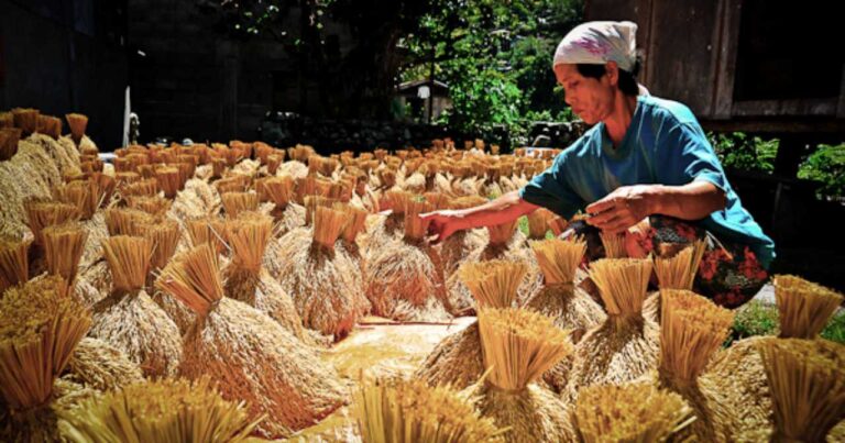 Livelihood Programs Example in the Philippines - The Pinoy OFW