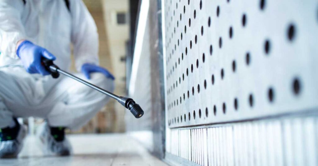 Best Pest Control Services in Mindanao - The Pinoy OFW